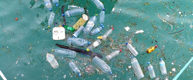 WCM-Q highlights alarming impact of plastic bottled water on human and ...